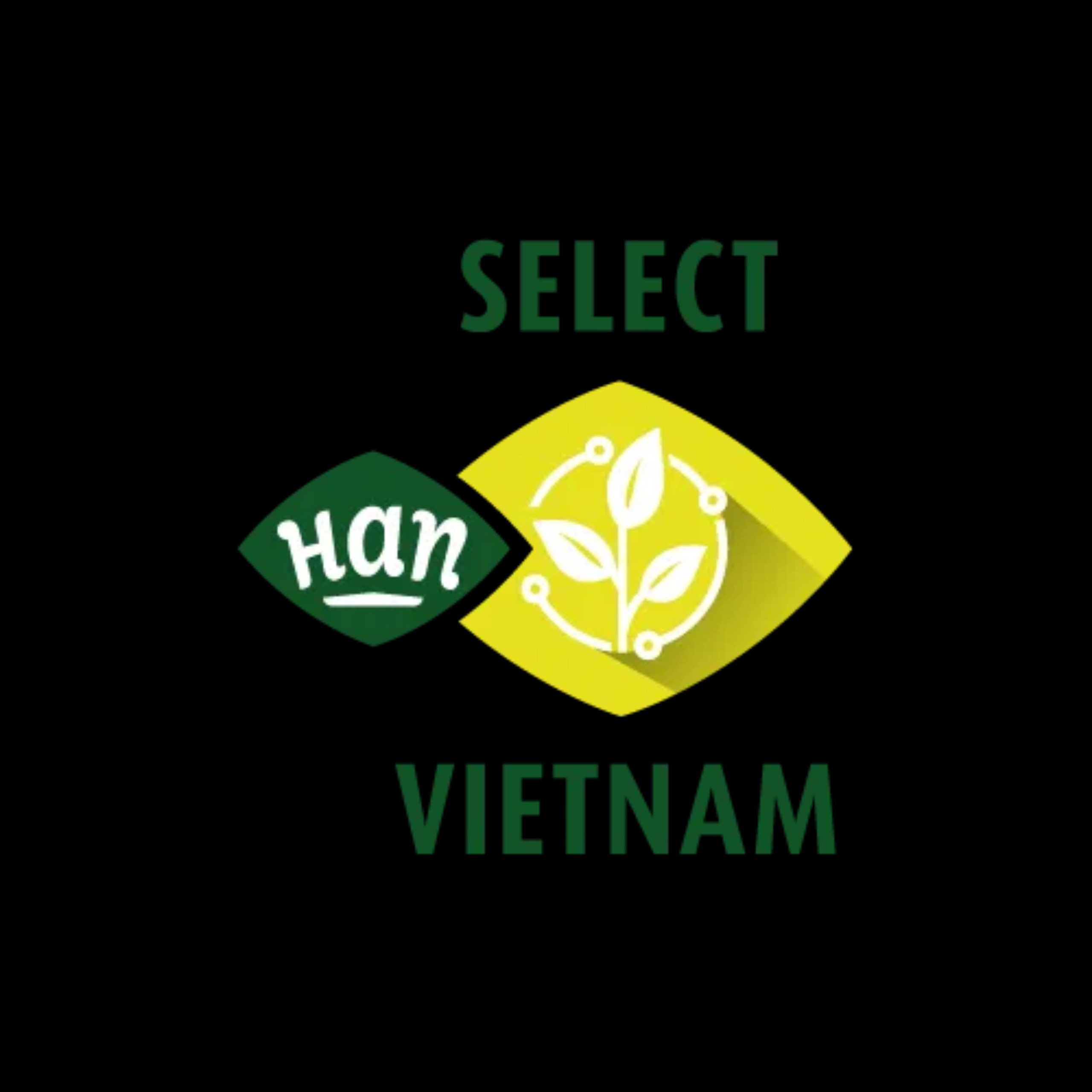 Hiệp hội doanh nghiệp nhỏ và vừa ngành nghề nông thôn Việt Nam (VARISME)